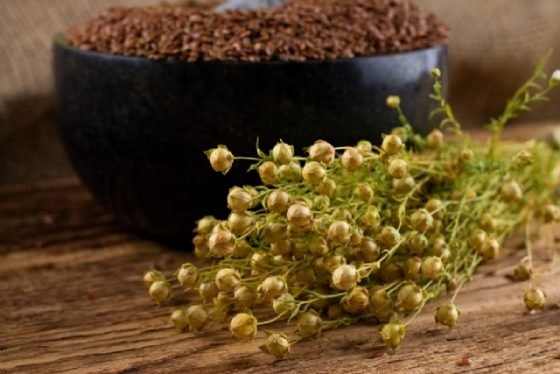 Keten Tohumunun Faydaları Nelerdir? 12+ Mucizevi Faydası | Aysha